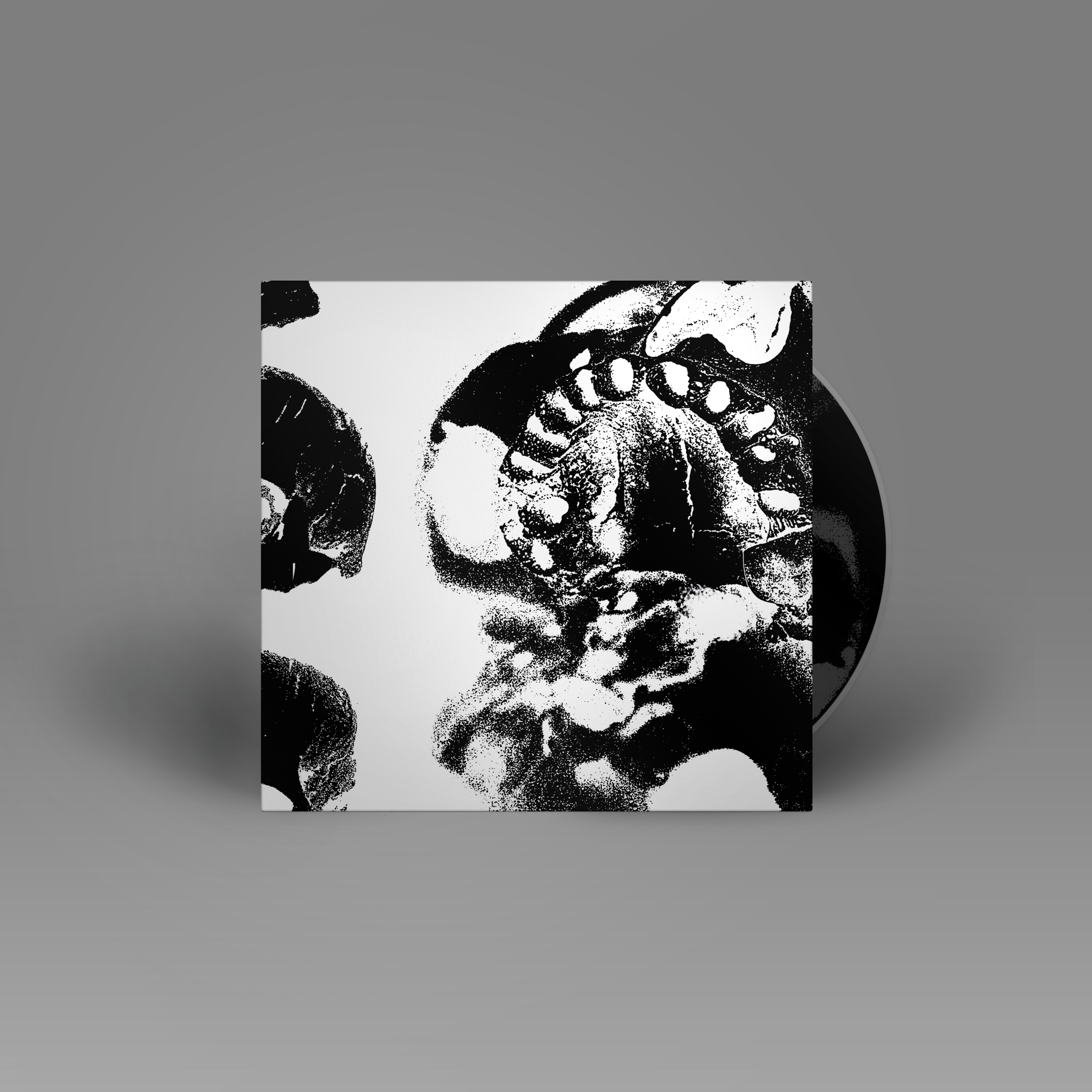 Folkstorm — Nordvargr