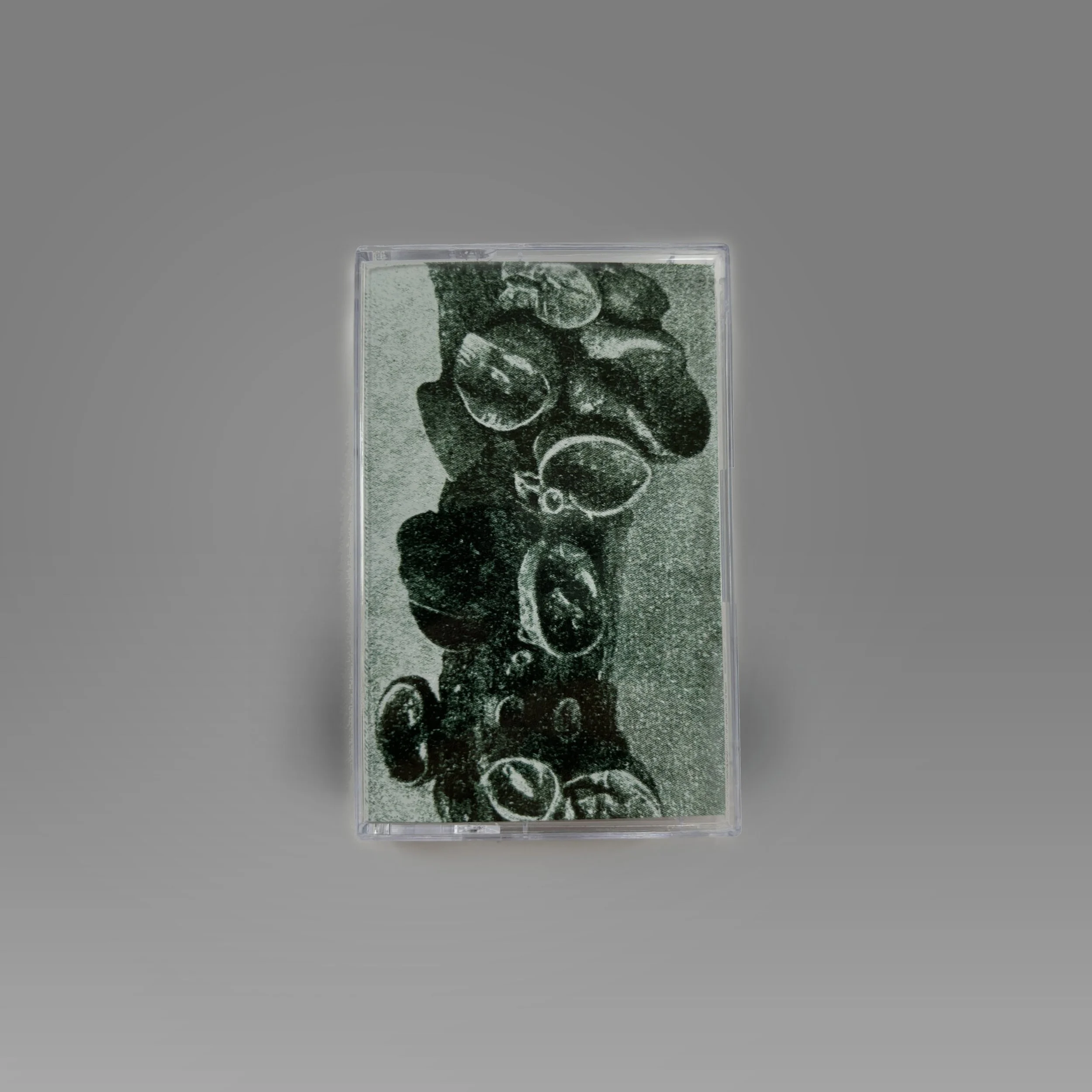 Shop Merch / Digital — Nordvargr