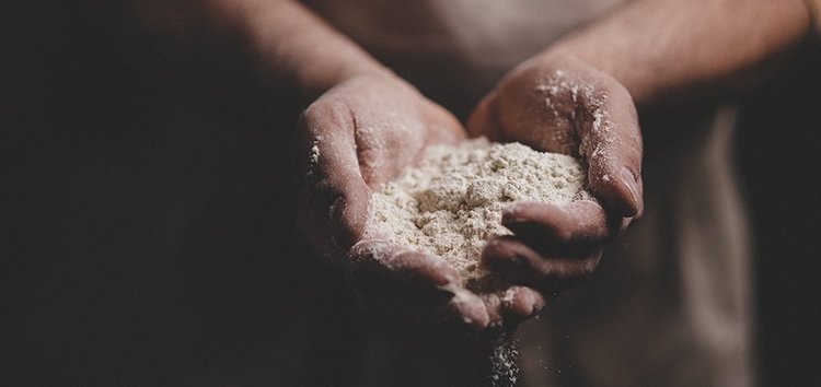 The Fresh Flour Company