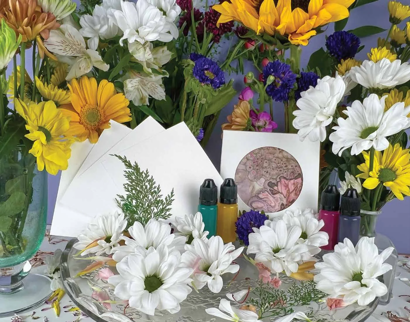 Shop for Joy — Project Joy Studio