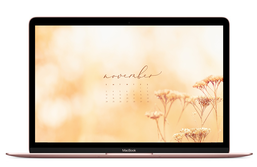 November Backgrounds: Free Download for Your Phone, Tablet or Desktop ...