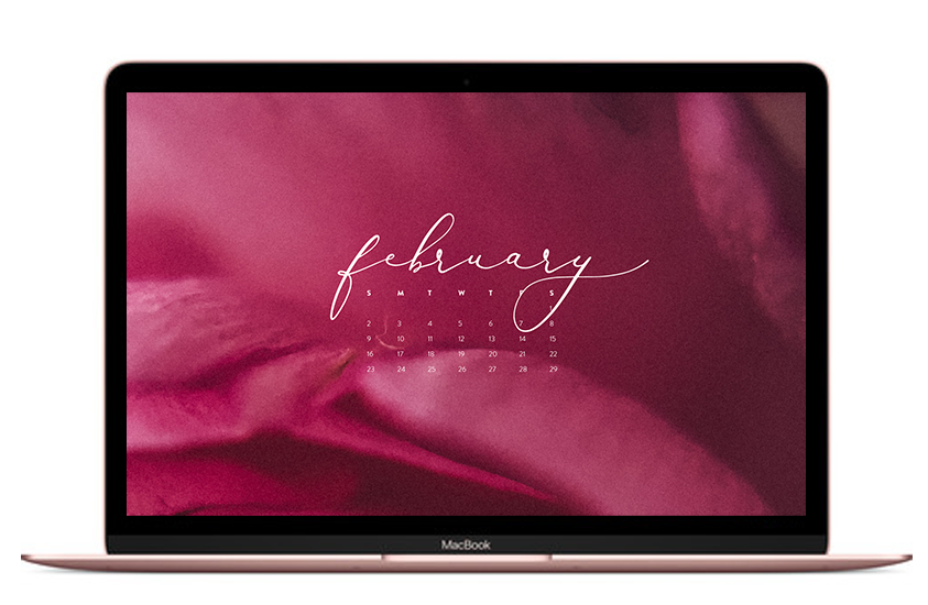 February Backgrounds: Free Download for Your Phone, Tablet or Desktop ...