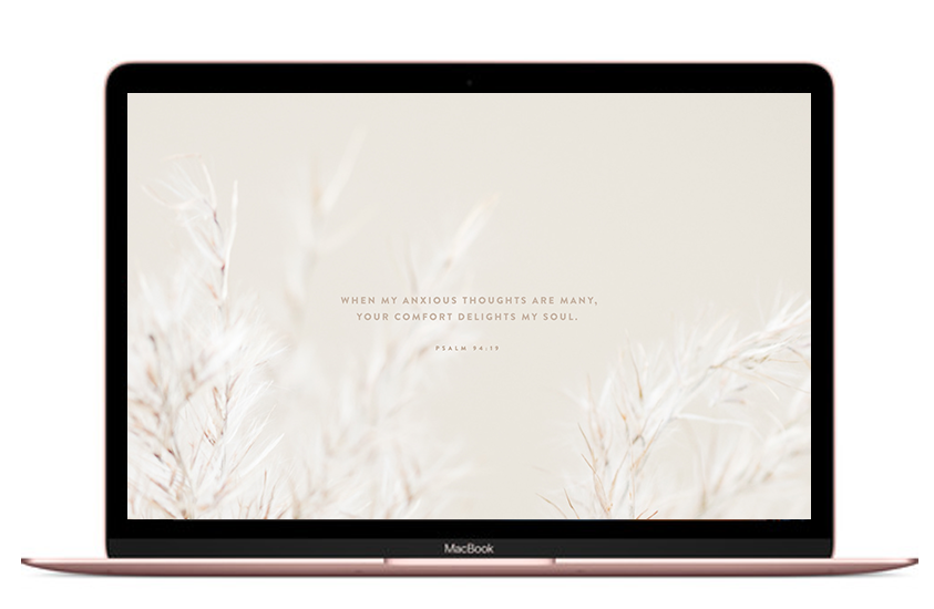 November Backgrounds: Free Download for Your Phone, Tablet or Desktop ...