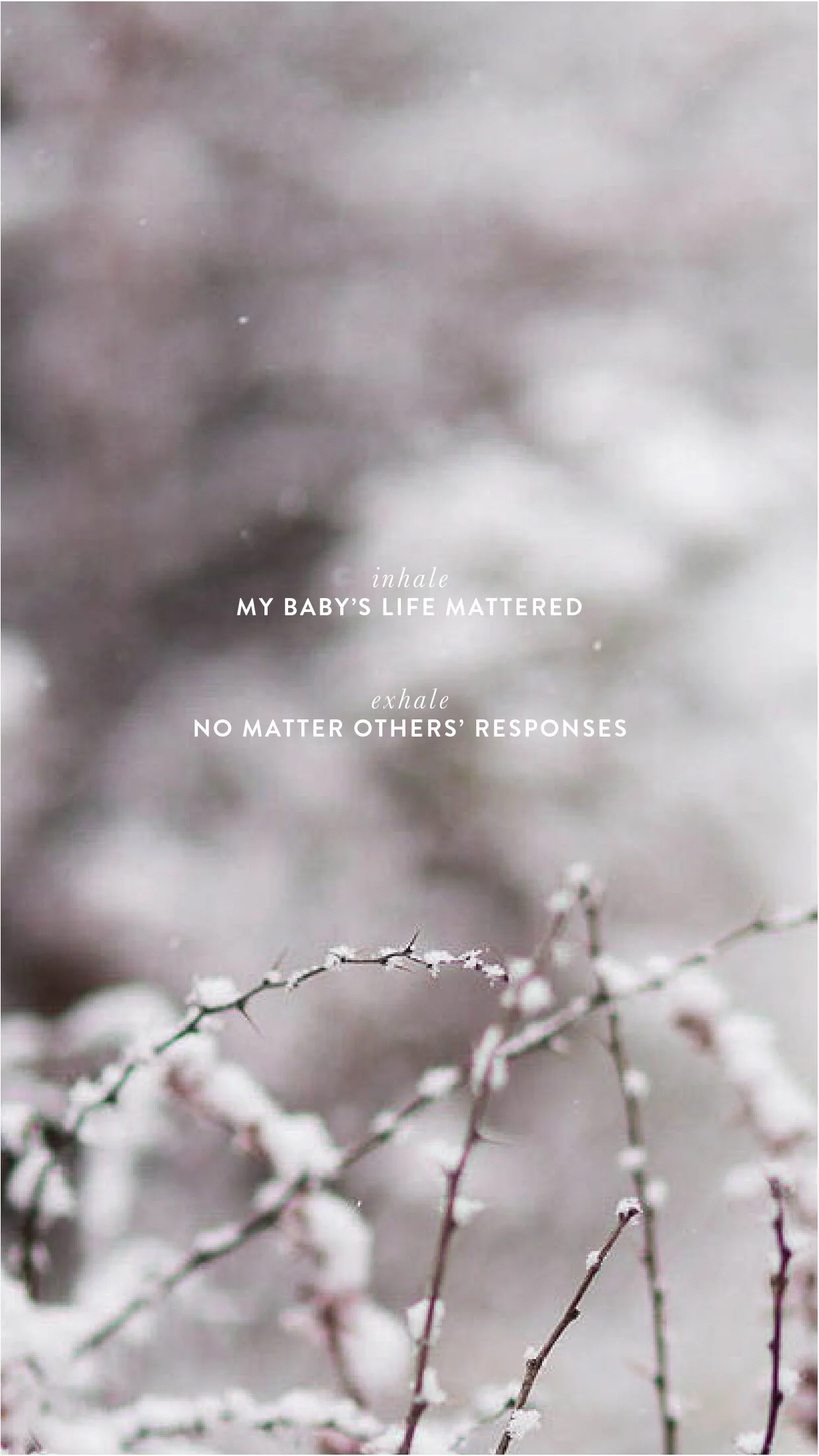 Scripture Meditations for the Holidays | Free Wallpapers for Your Phone ...