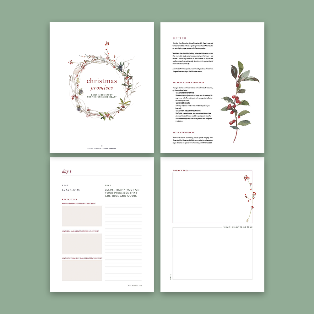 Holidays — The Morning