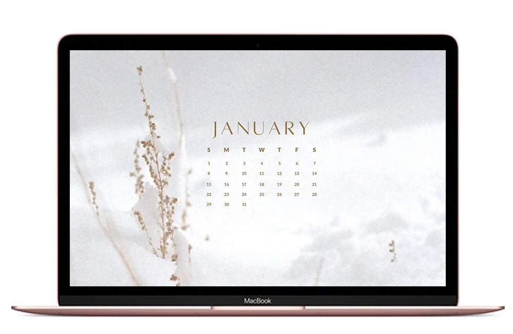 January 2023 Tech Backgrounds — The Morning