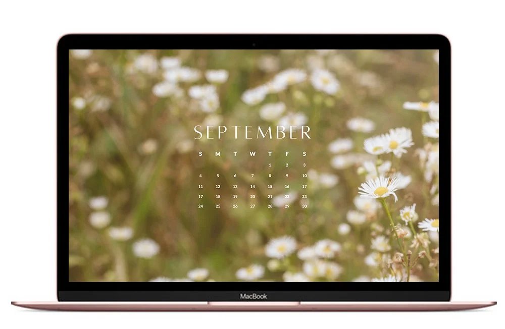 September Backgrounds: Free Download for Your Phone, Tablet or Desktop ...
