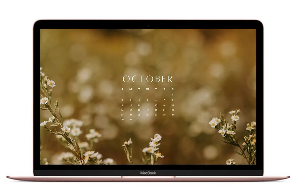 October Backgrounds: Free Download for Your Phone, Tablet or Desktop ...