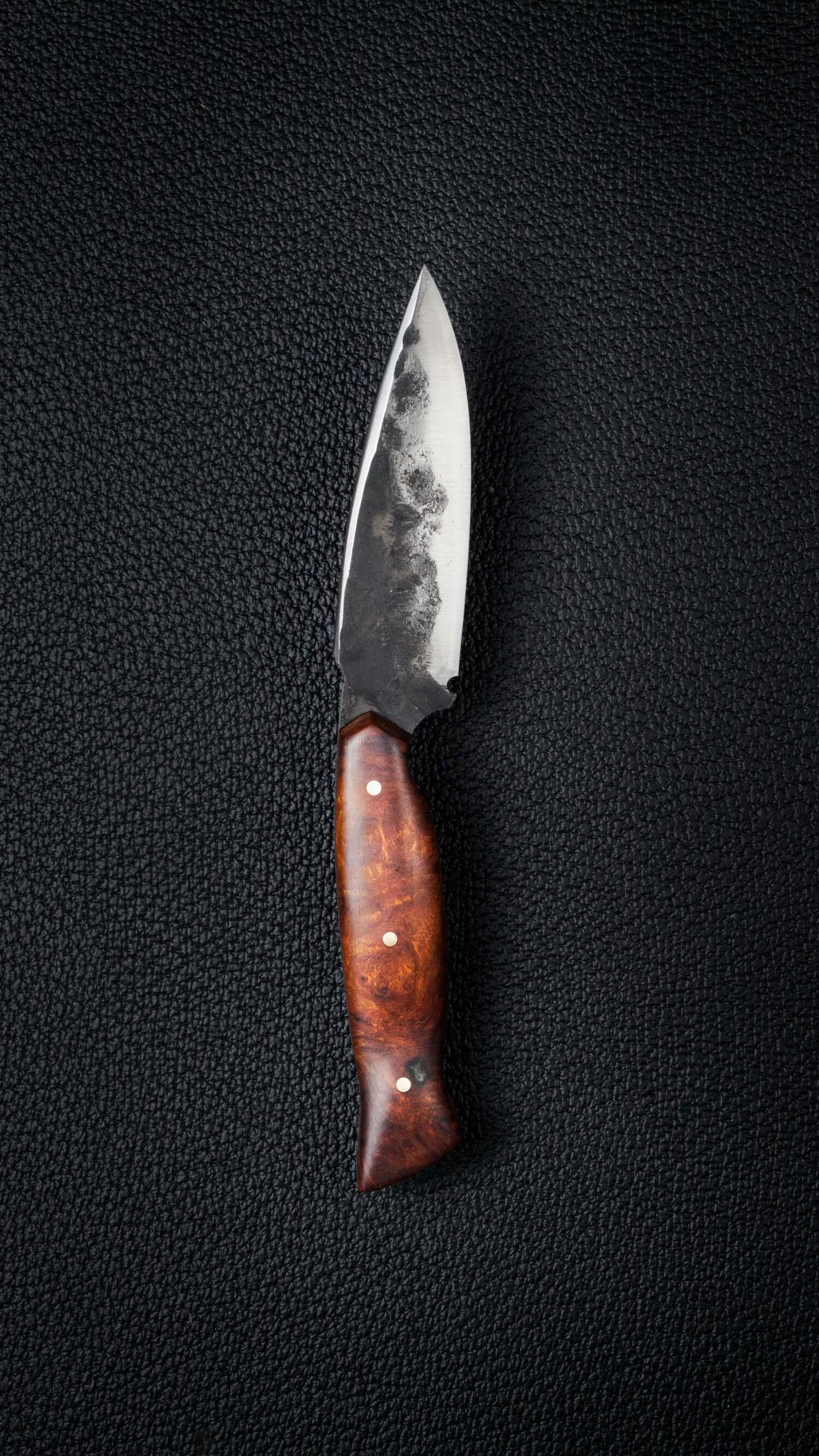 SHOP KNIVES — RED TAIL KNIFE