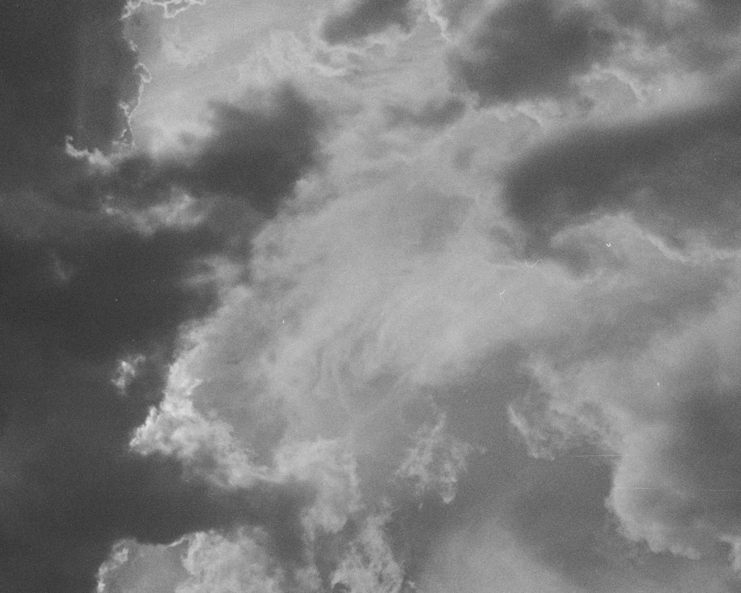 HONORING THEM ALL — Jeffrey Scheuer