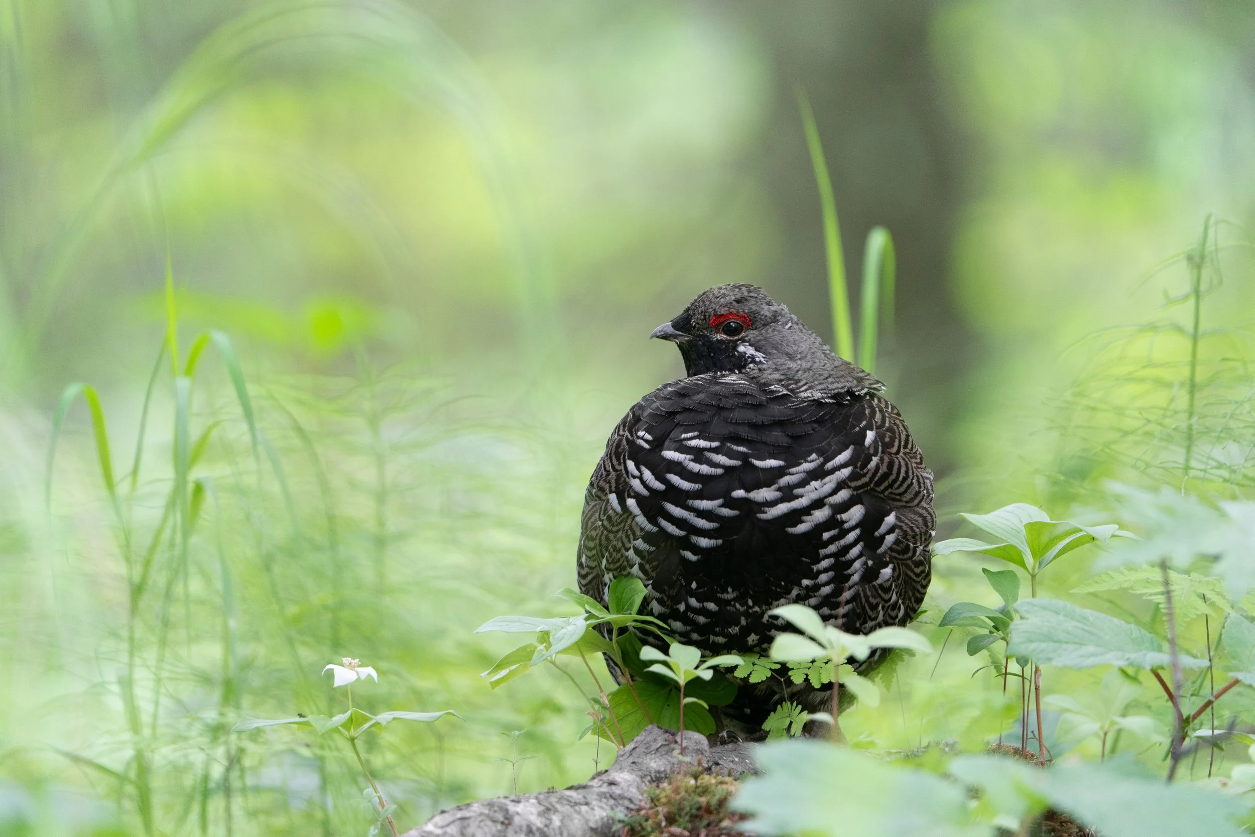 Kayla Lindquist Photography