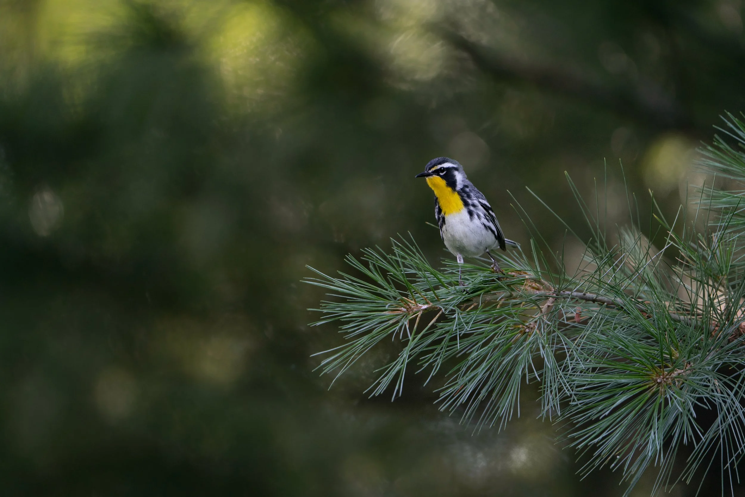 Favorites — Kayla Lindquist Photography