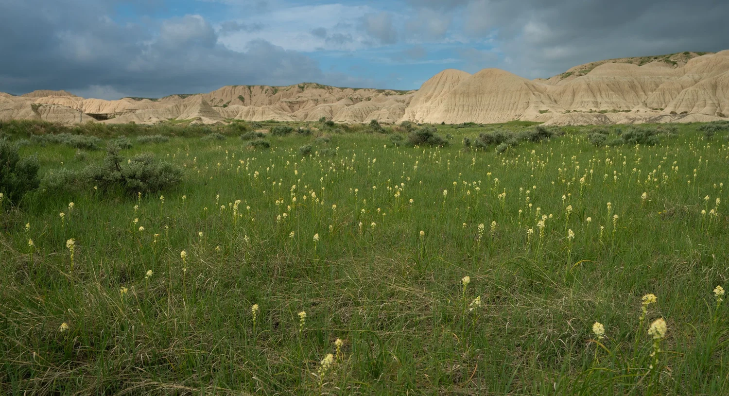 Kayla Lindquist Photography