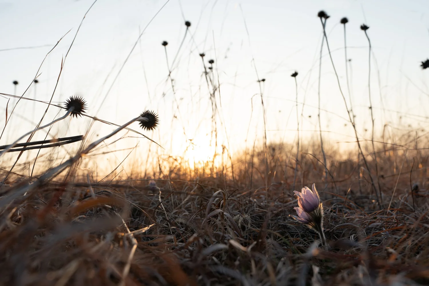 Kayla Lindquist Photography