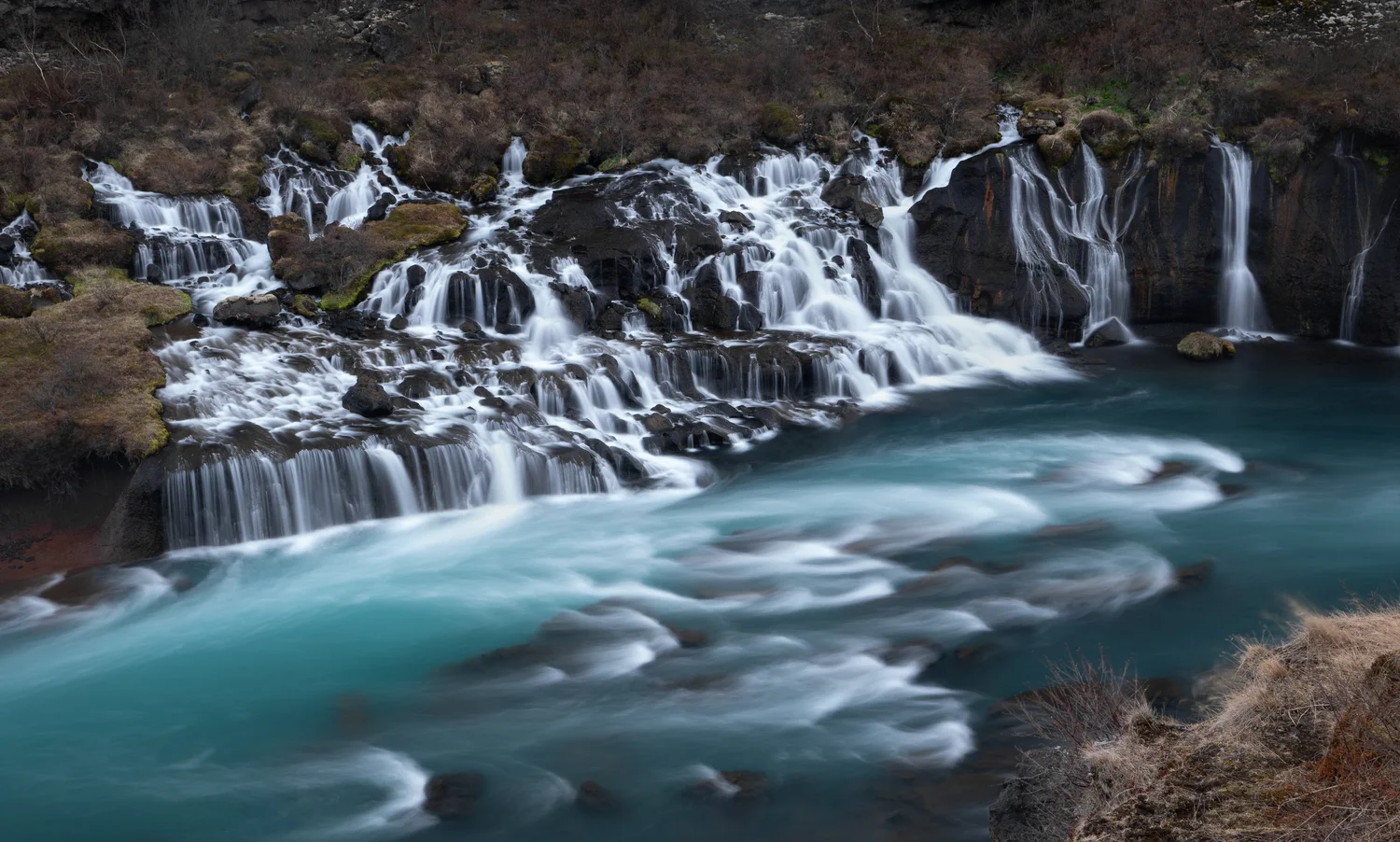 Kayla Lindquist Photography