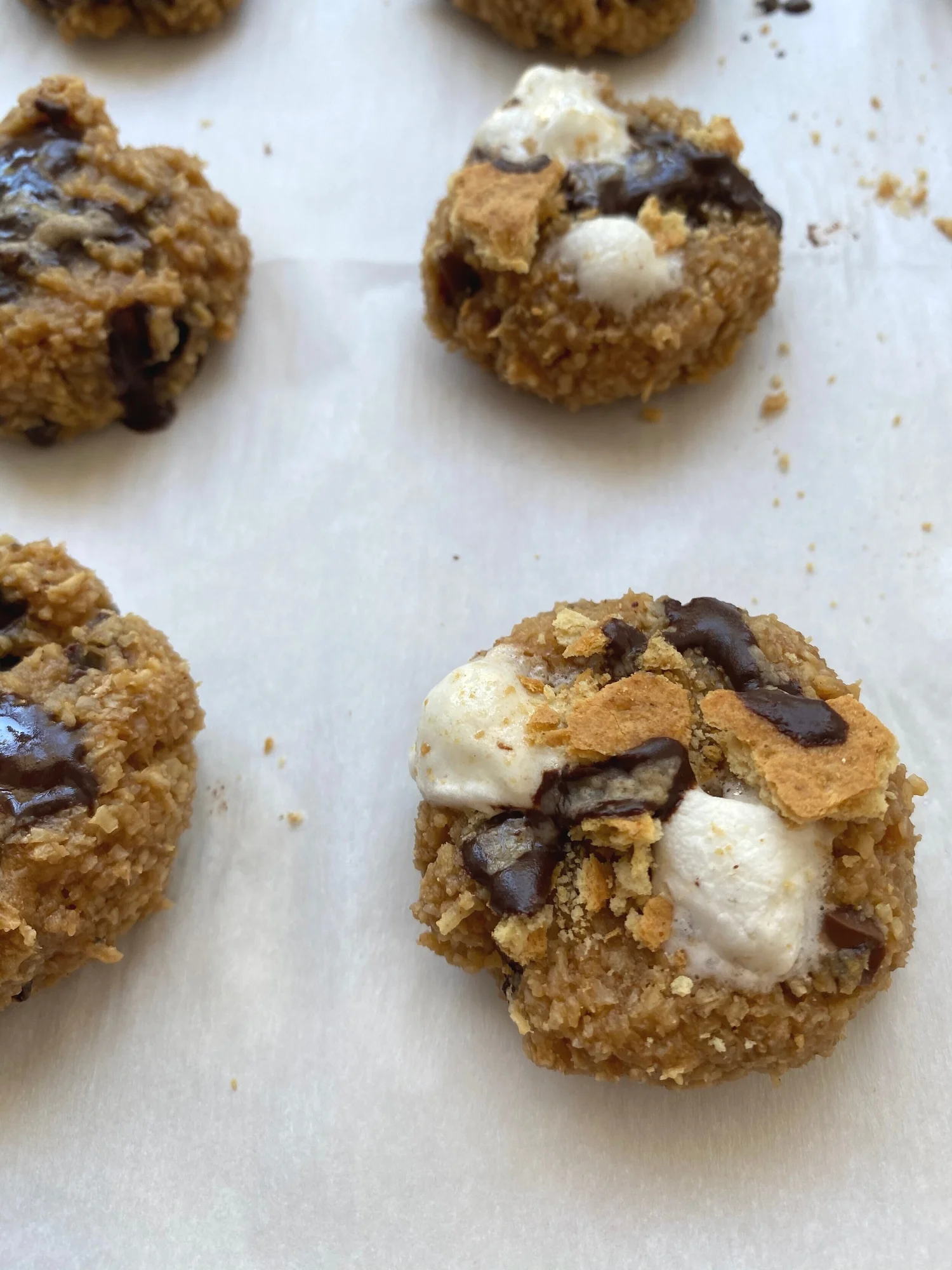 s'more style-uber low sugar chocolate chip cookies — alec treffs