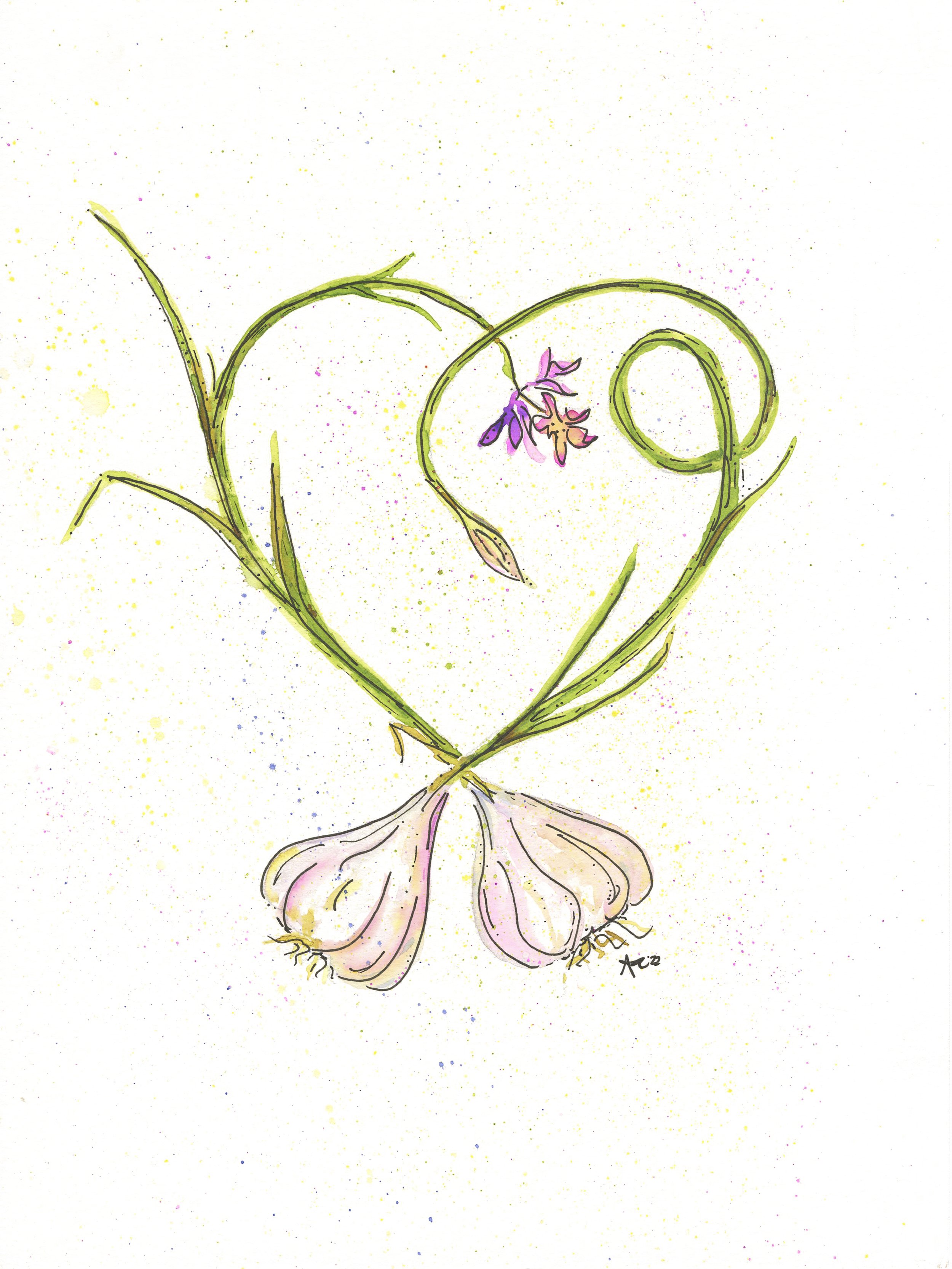 Gallery 3 — Pepper Pod Art