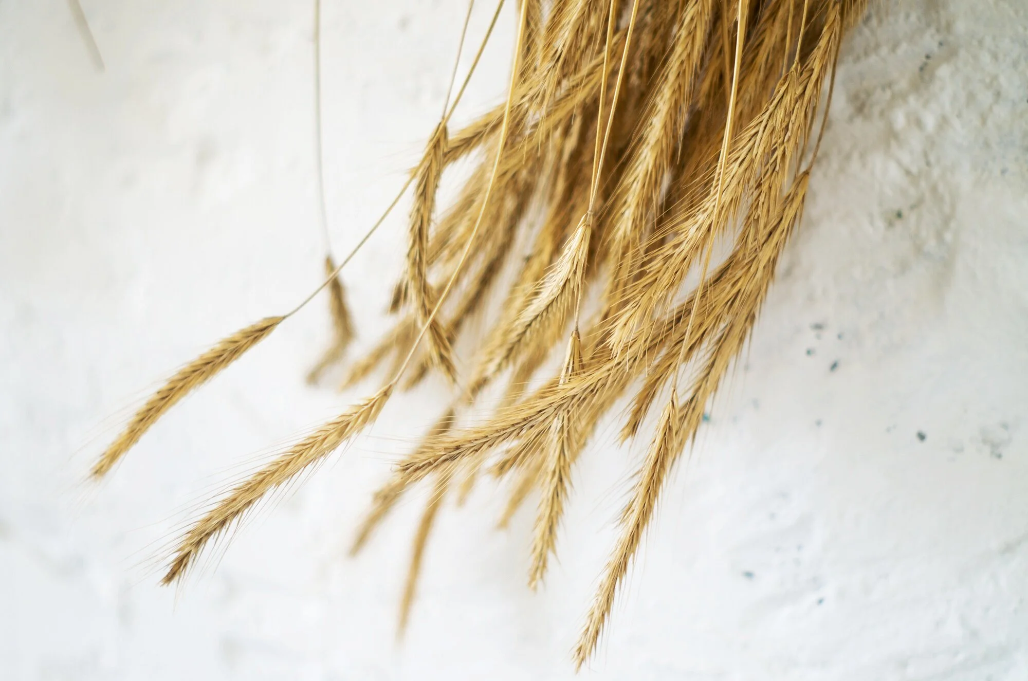 私たちについて — STRAW.TOKYO