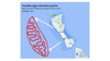 Understanding the Boracay Algae Problem - With a Simple Solution