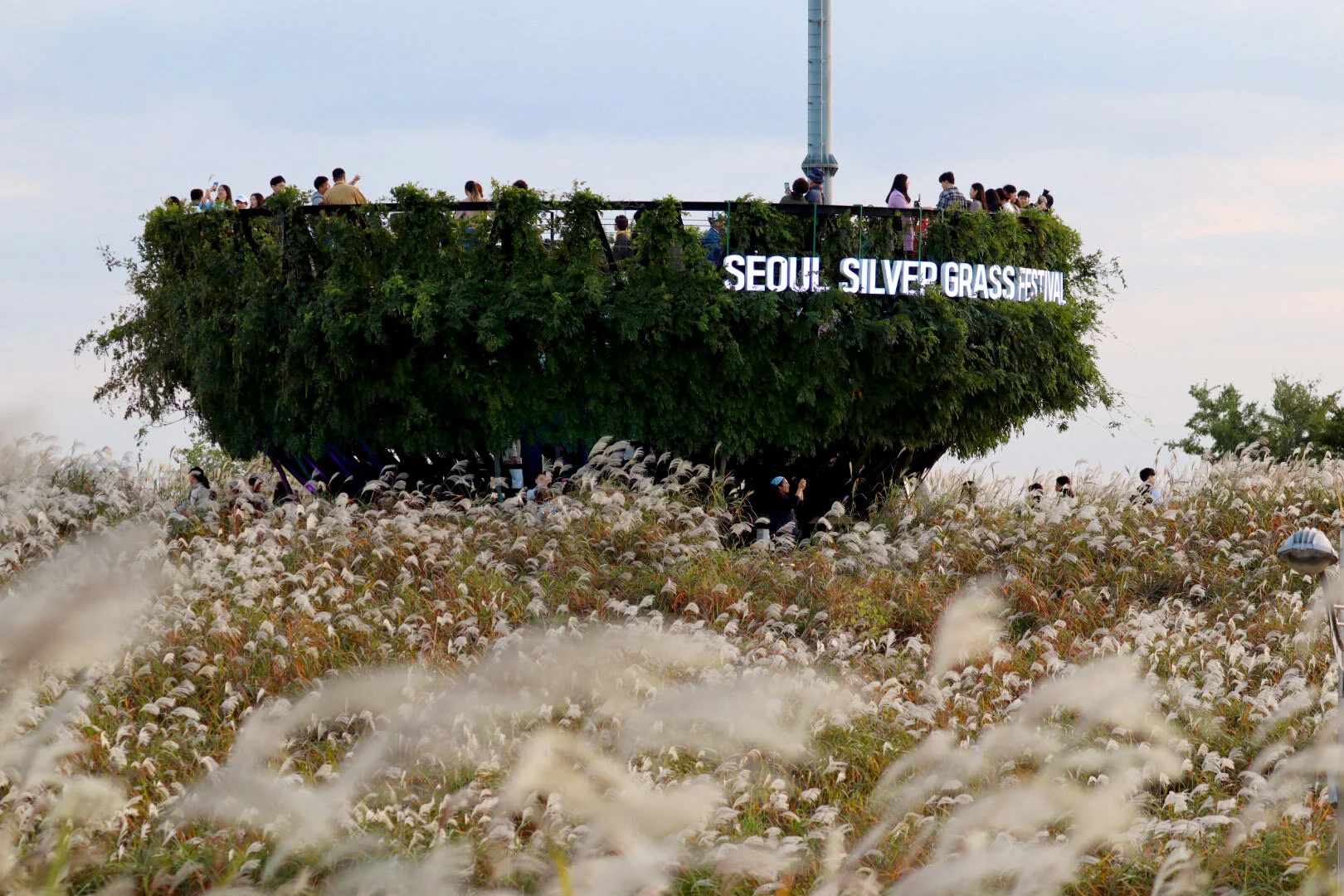 What We Can Learn from Haneul Sky Park in World Cup area, Seoul