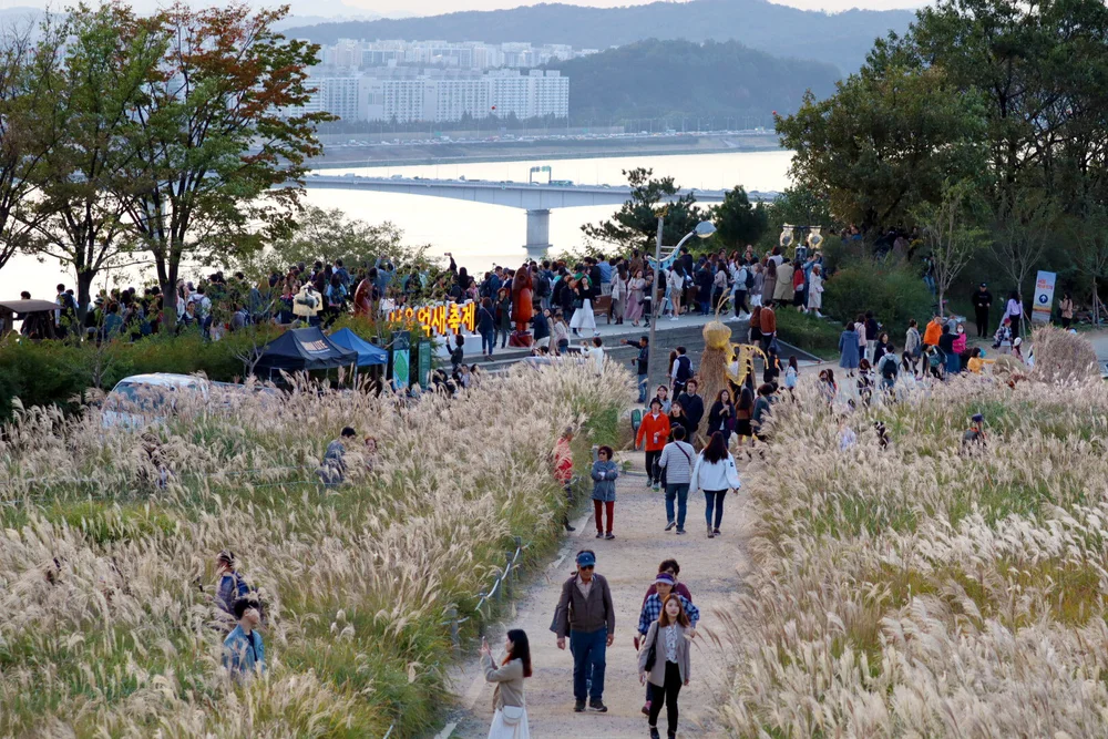 What We Can Learn from Haneul Sky Park in World Cup area, Seoul