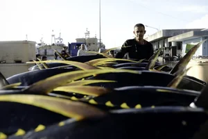 Discovering the Vibrant General Santos Fishport Complex