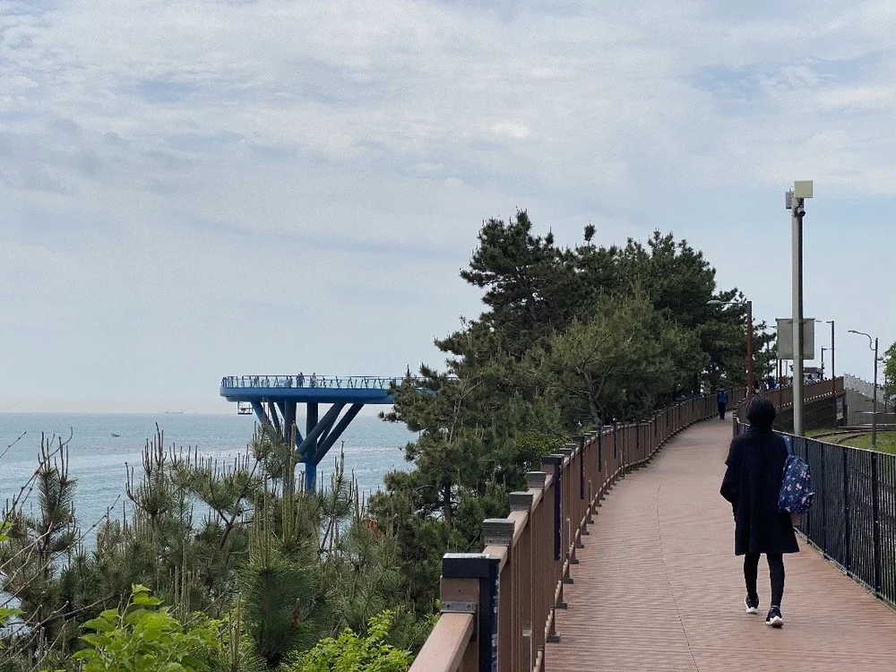 Discovering Cheongsapo Daritdol Observatory