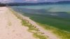 Understanding the Boracay Algae Problem - With a Simple Solution