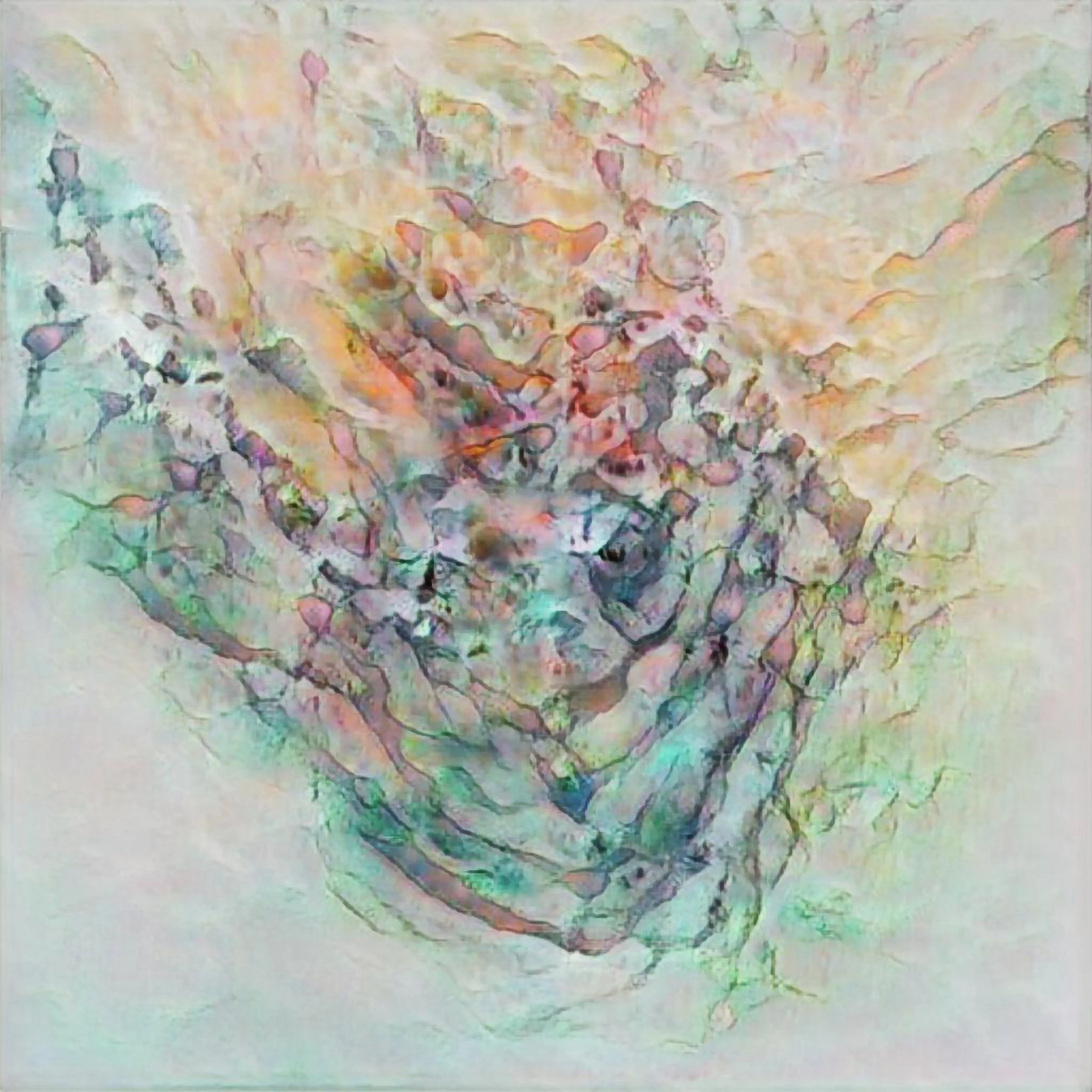 OBSERVANCE — JEN PALMER ART