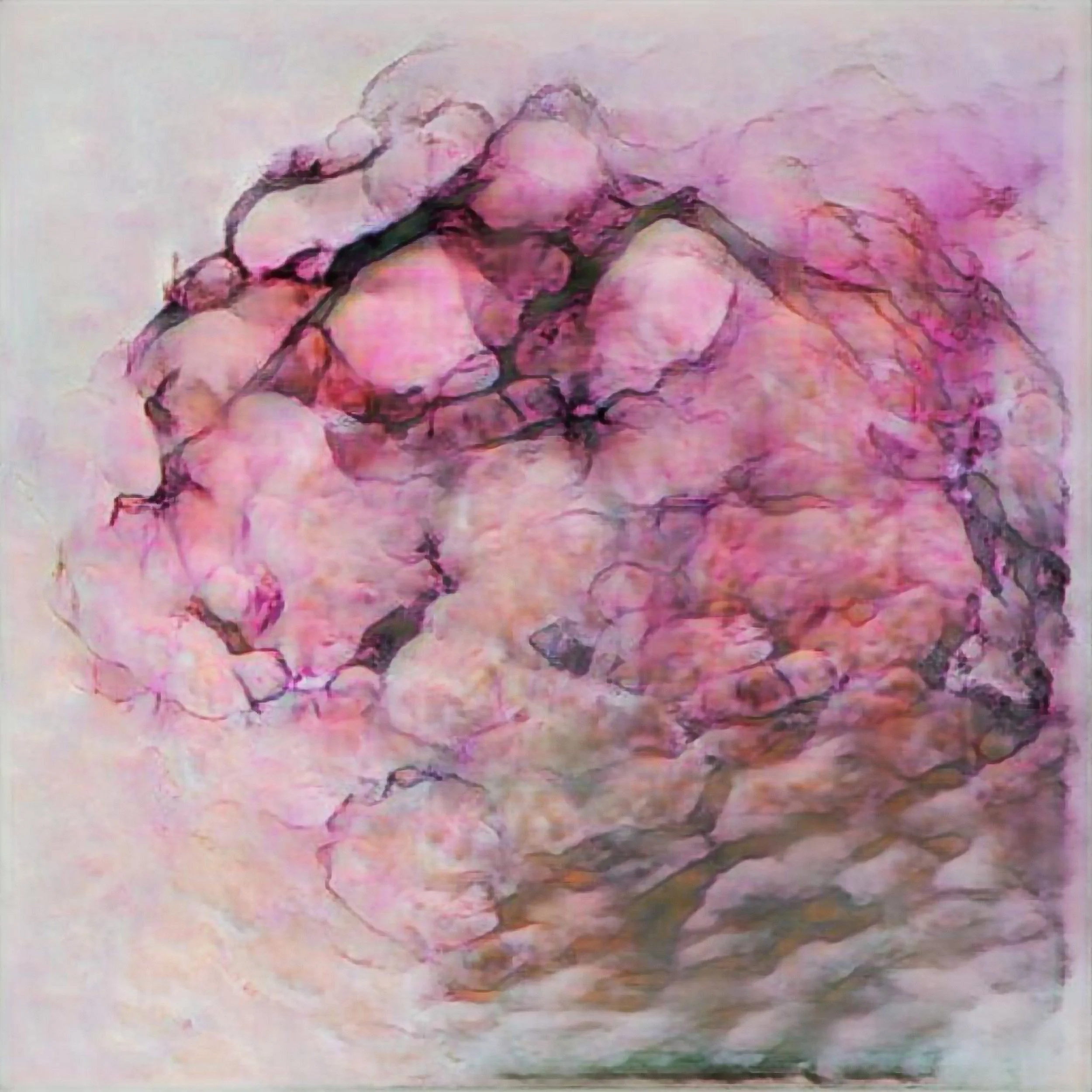 OBSERVANCE — JEN PALMER ART