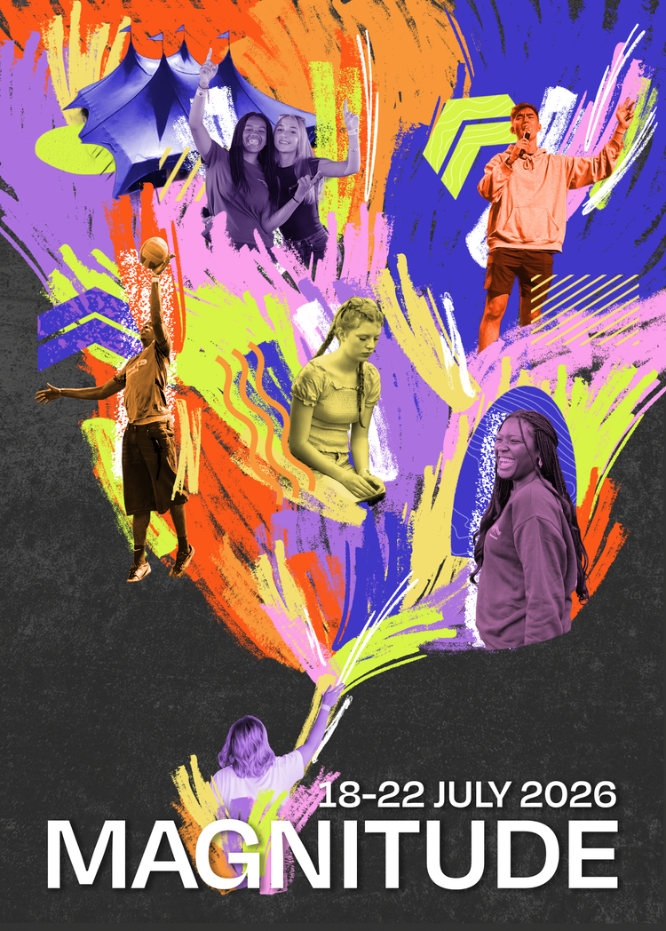 MAGNITUDE FESTIVAL — Magnitude