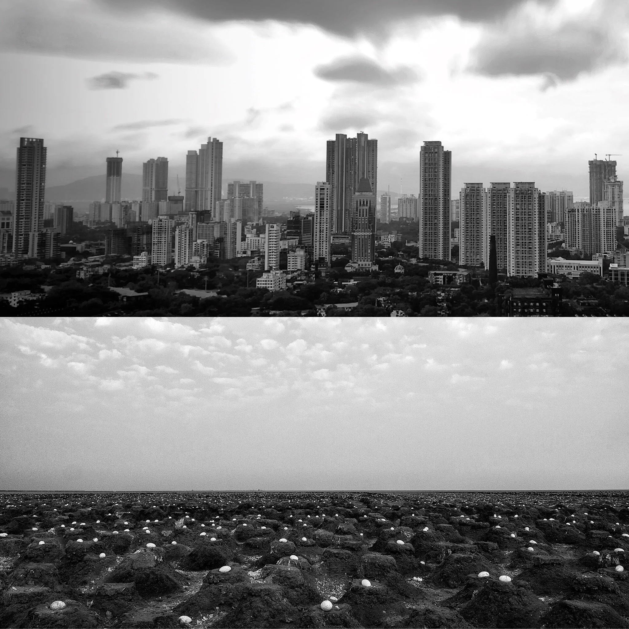 Words — Manish Vaidya