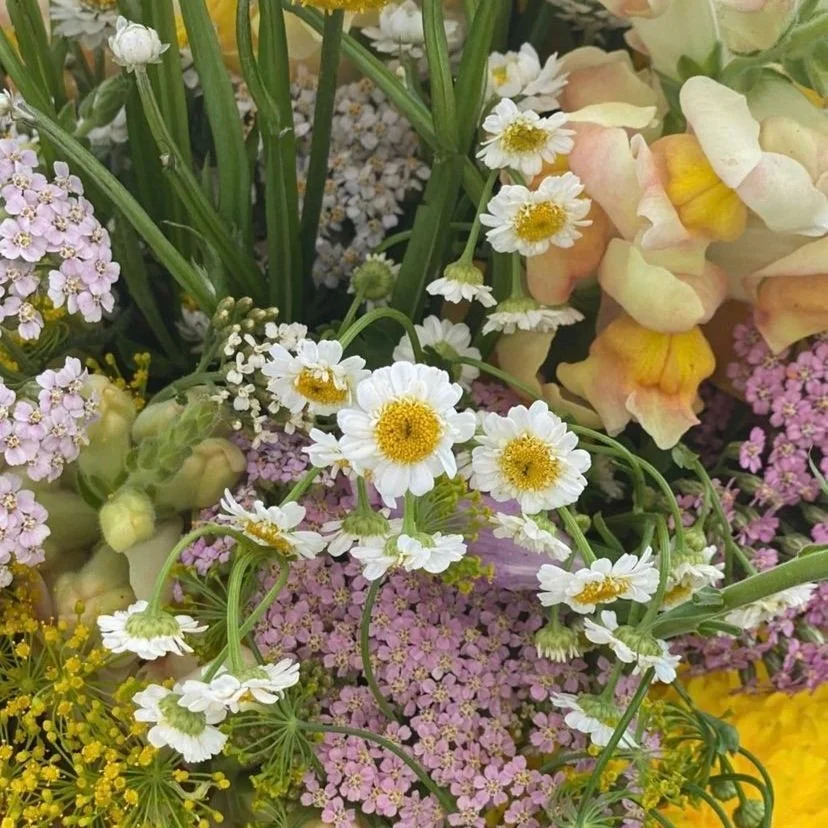 Shop — Rabbit Crest Farms