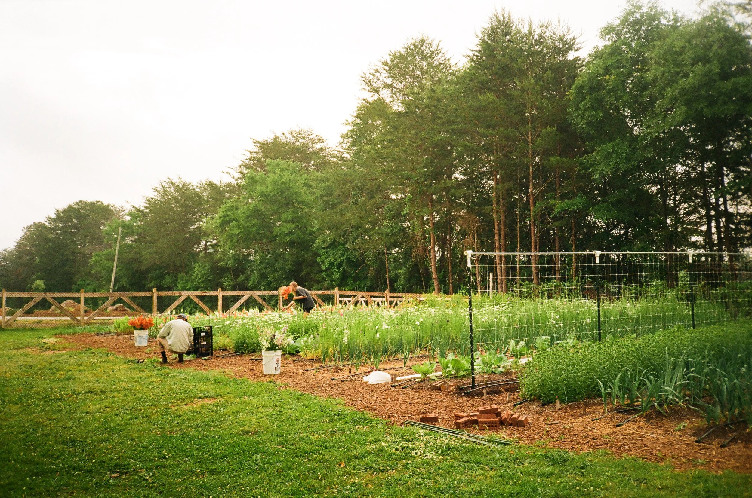 Contact — Rabbit Crest Farms