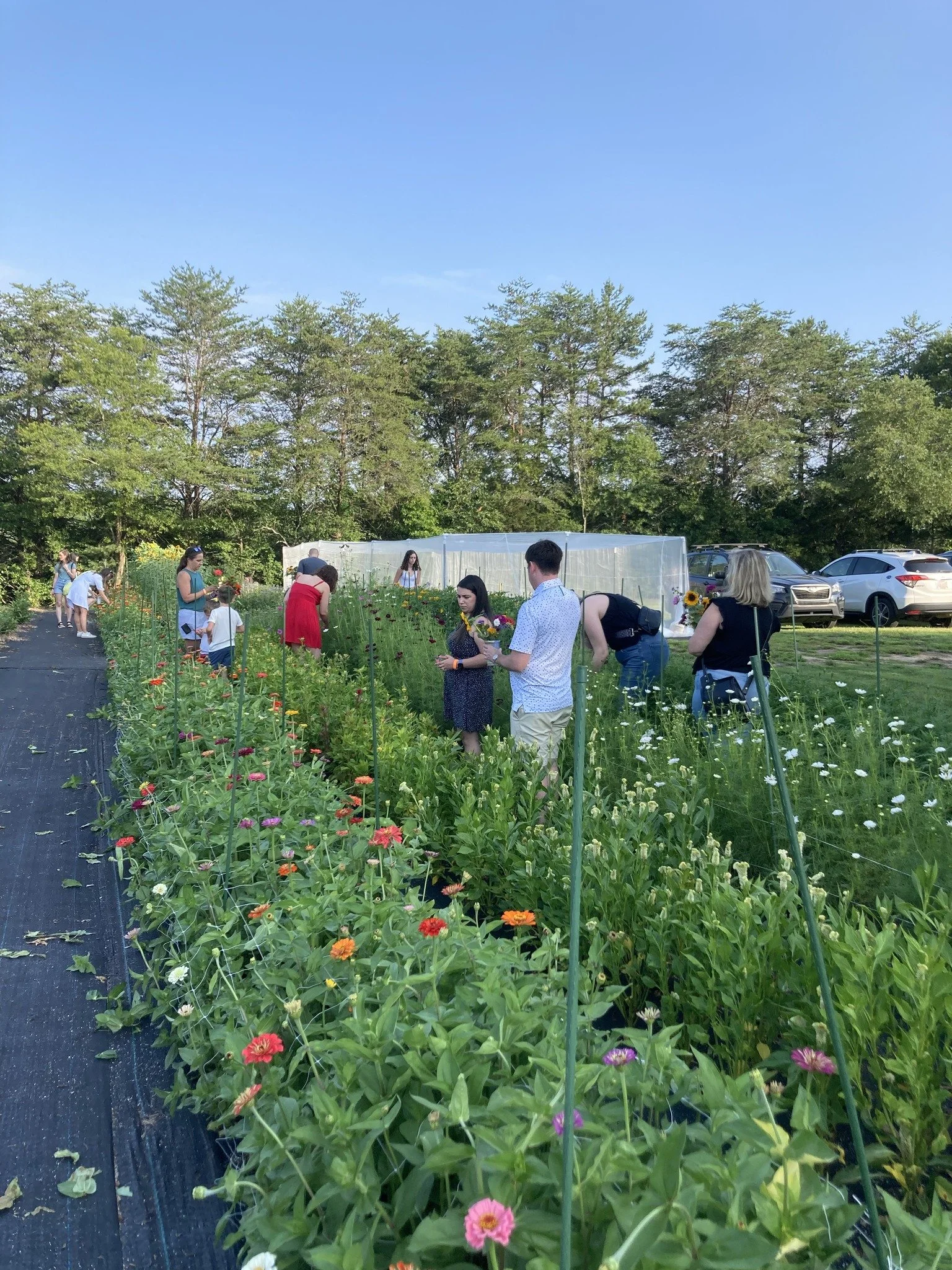 Farm Events — Rabbit Crest Farms