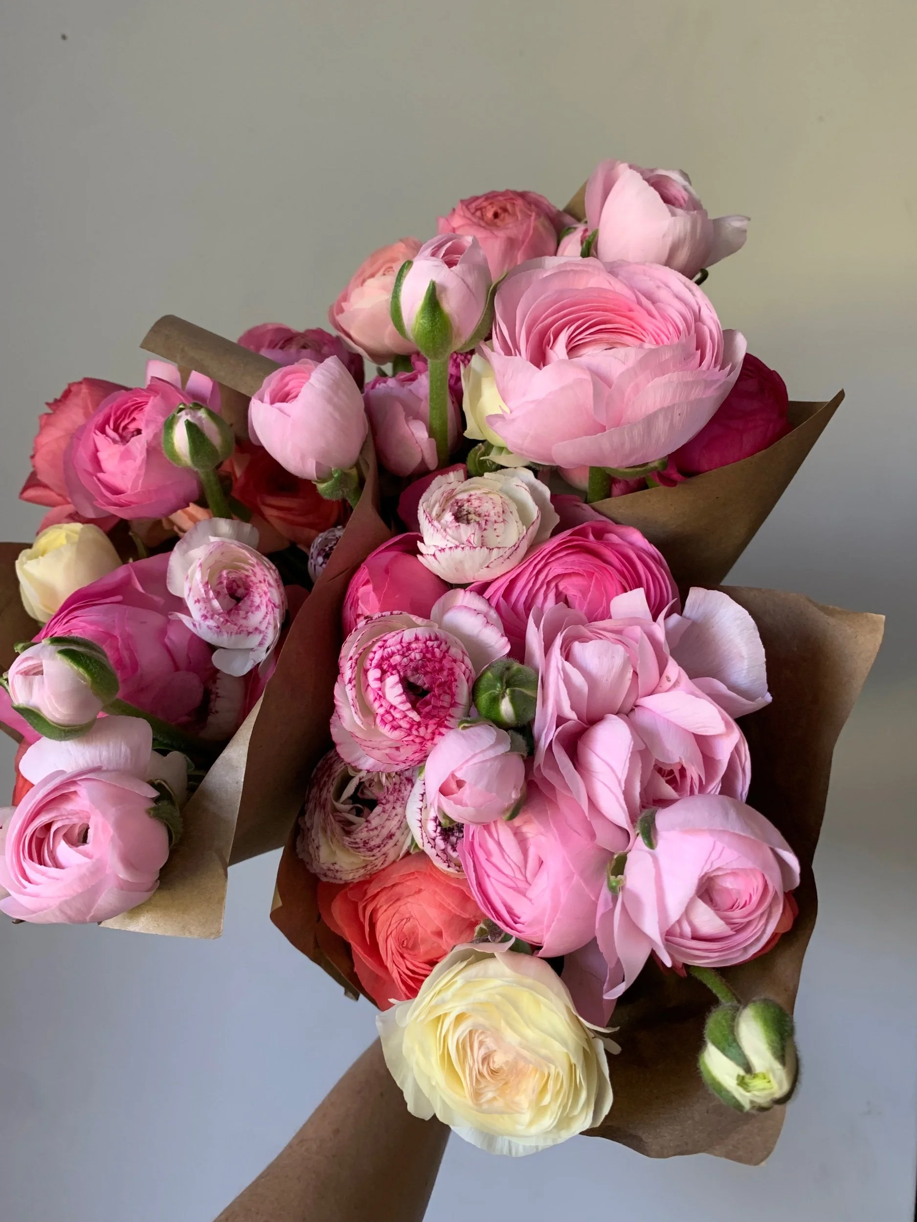 Shop — Rabbit Crest Farms