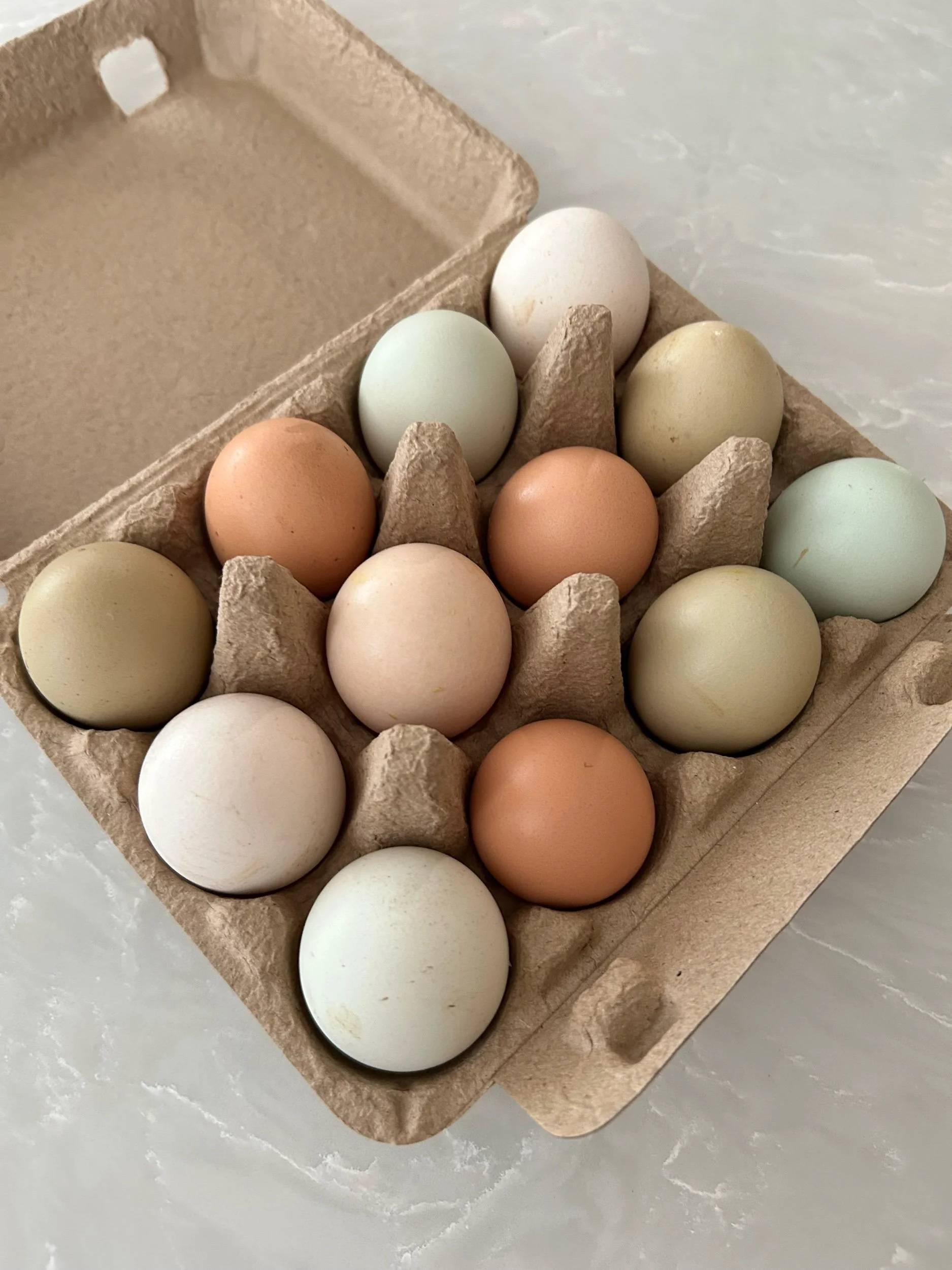 Shop — Rabbit Crest Farms