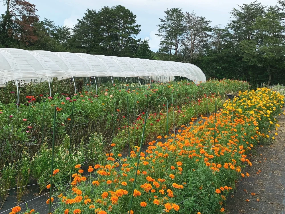 Farm Events — Rabbit Crest Farms