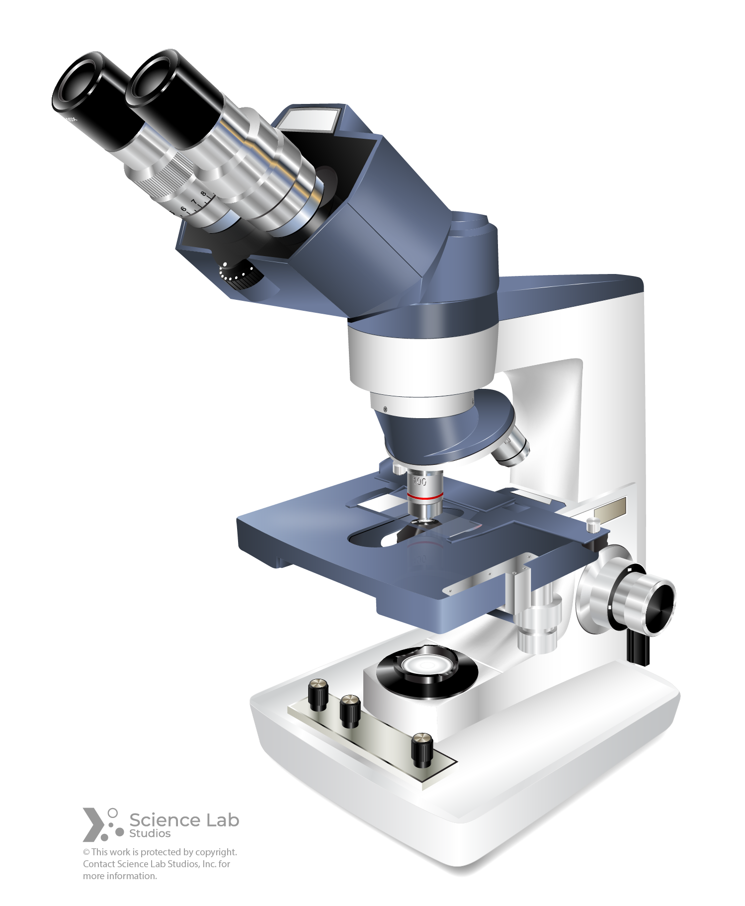 Rick Simonson — Scientific Illustrator