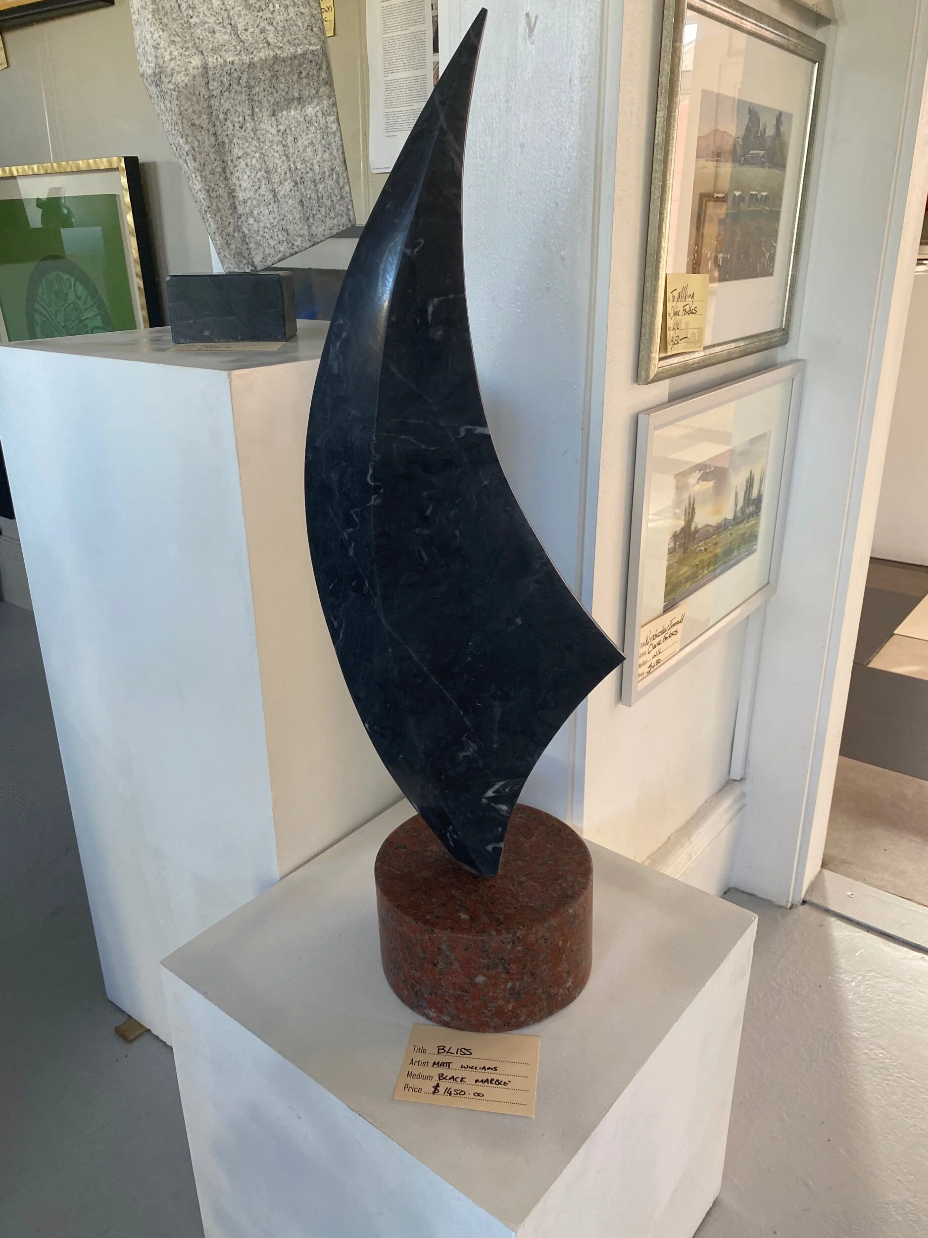 Matt Williams — York Street Gallery of Fine Art