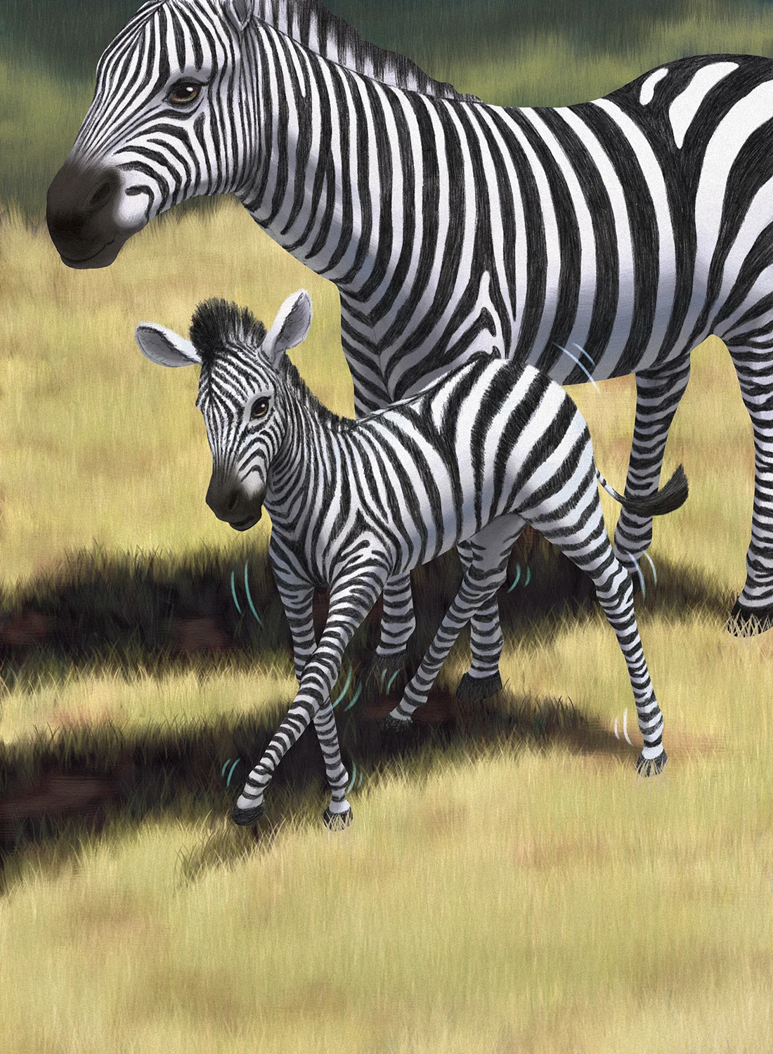 Zebra Crossing — Ken Samonte