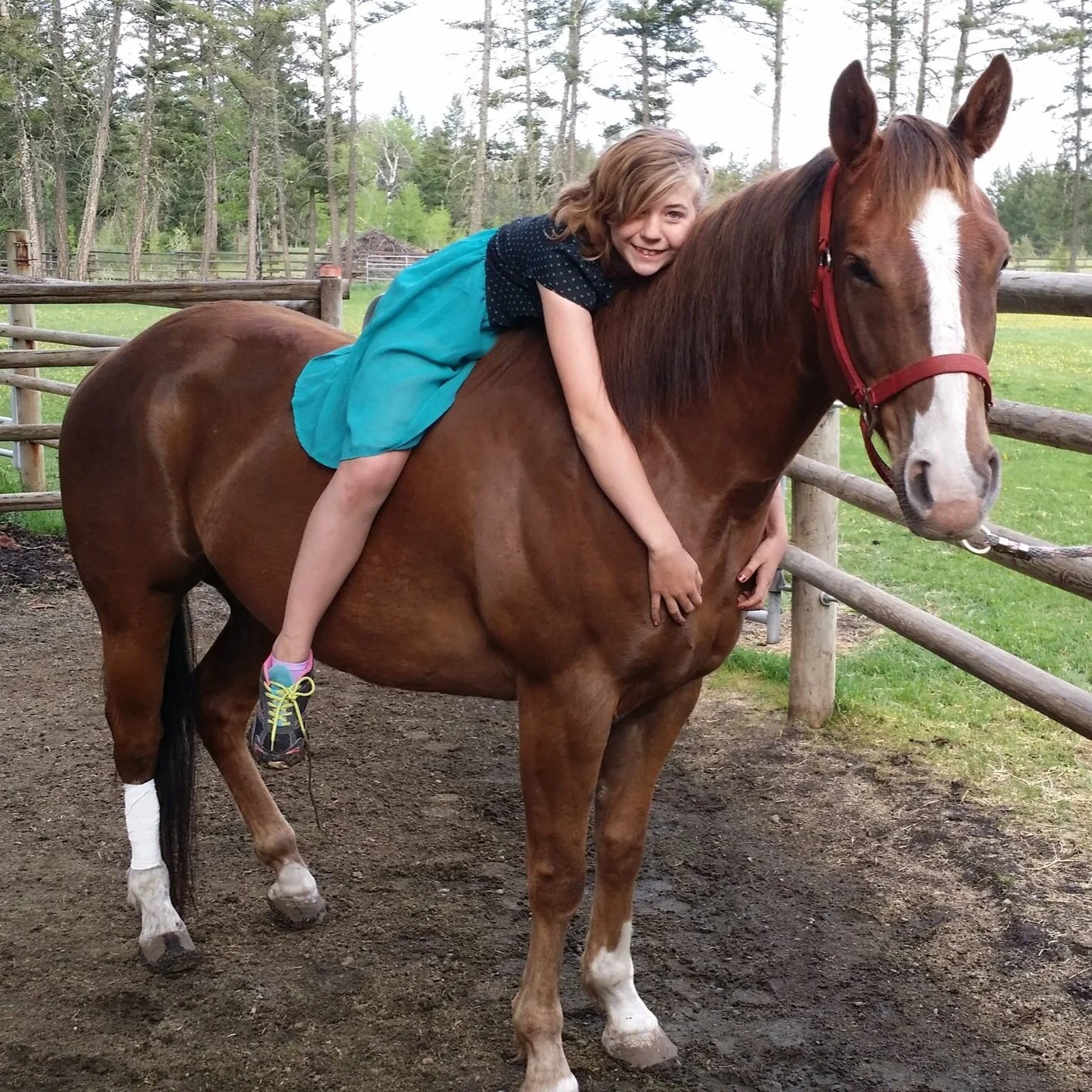 Grey Ghost Farm — grey ghost farm