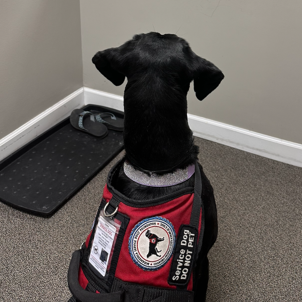 MidAmerica Service Dogs' Foundation