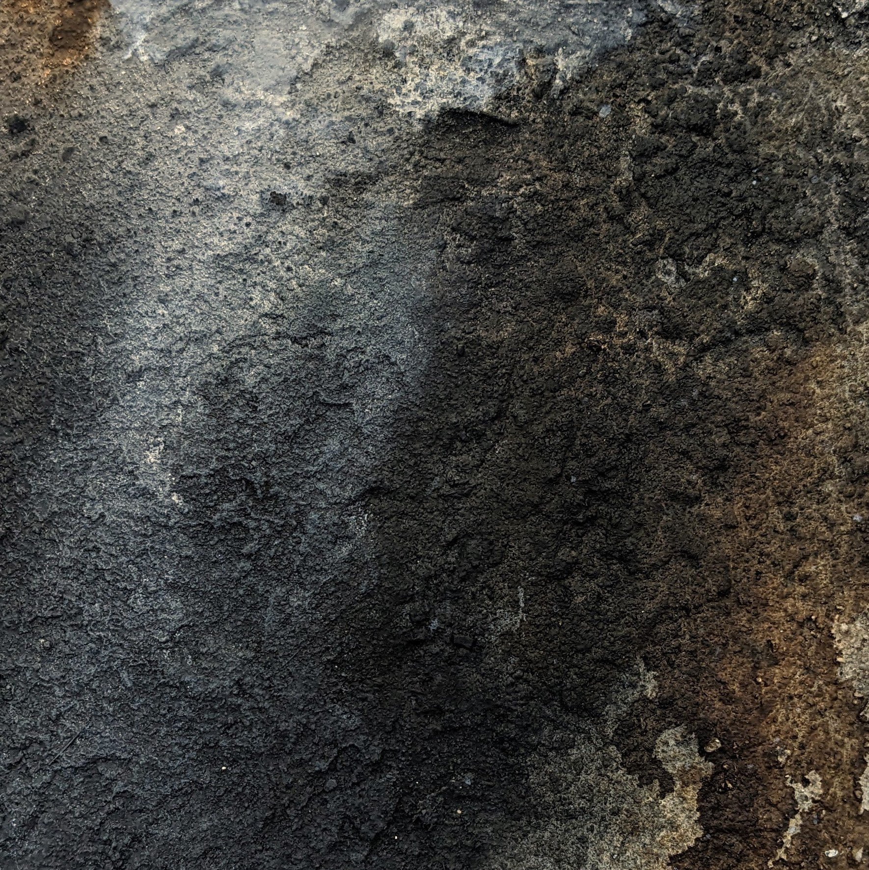 Abstract Paintings With Natural Materials — Tori Tipton