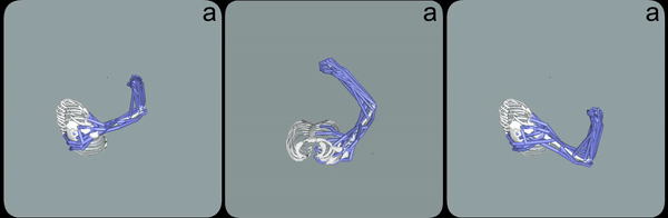 DeepDraw — Mathis Group