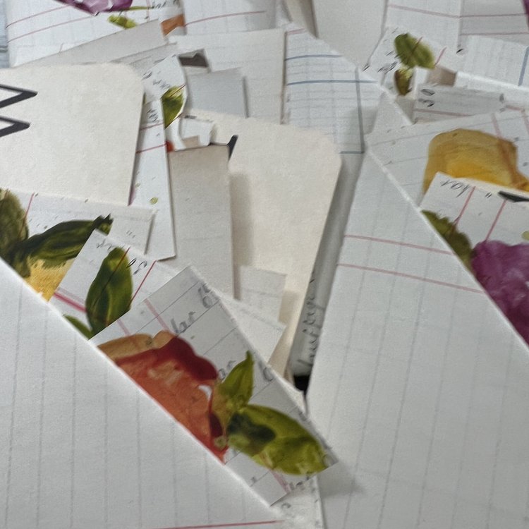 Shop — leaca young art