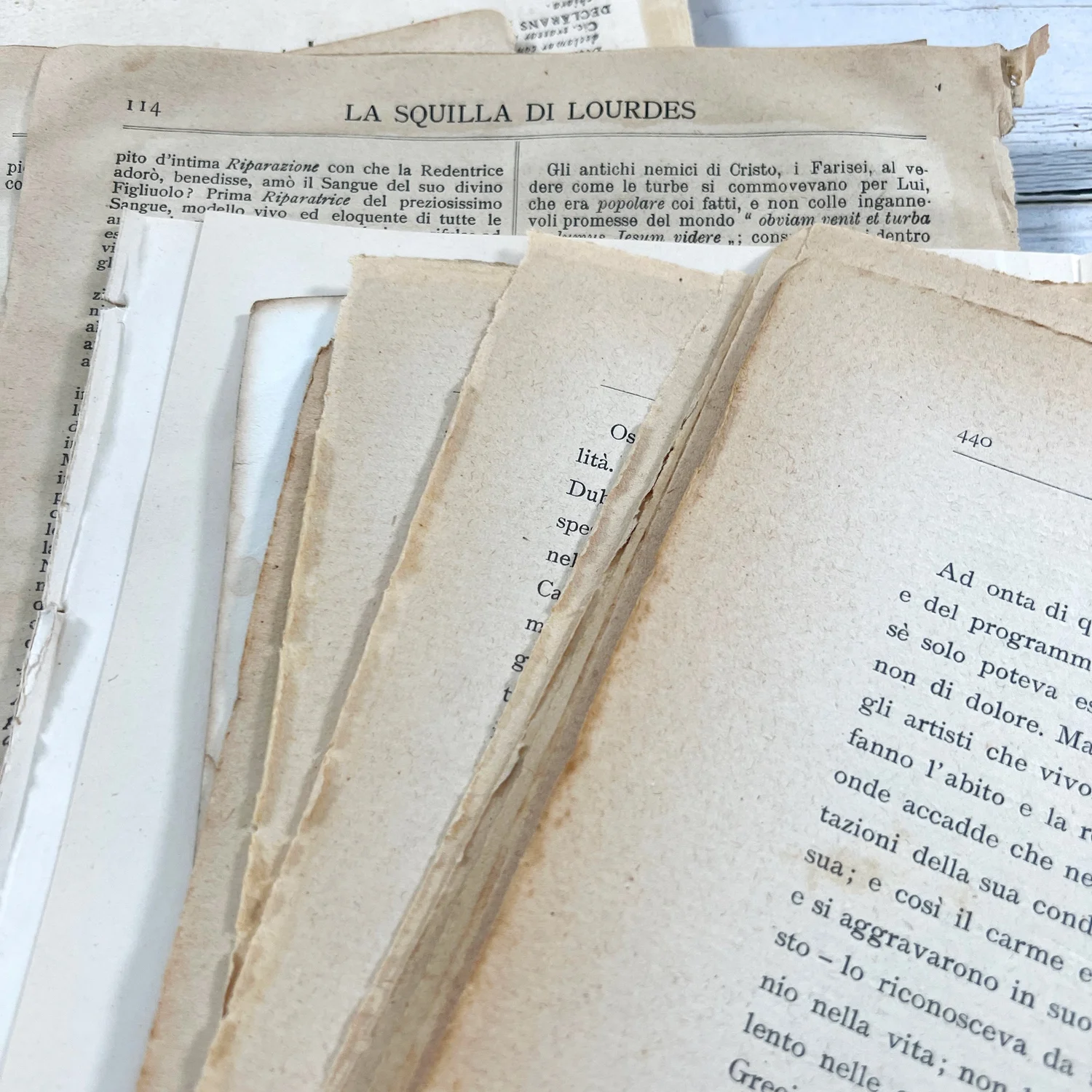 Shop — leaca young art