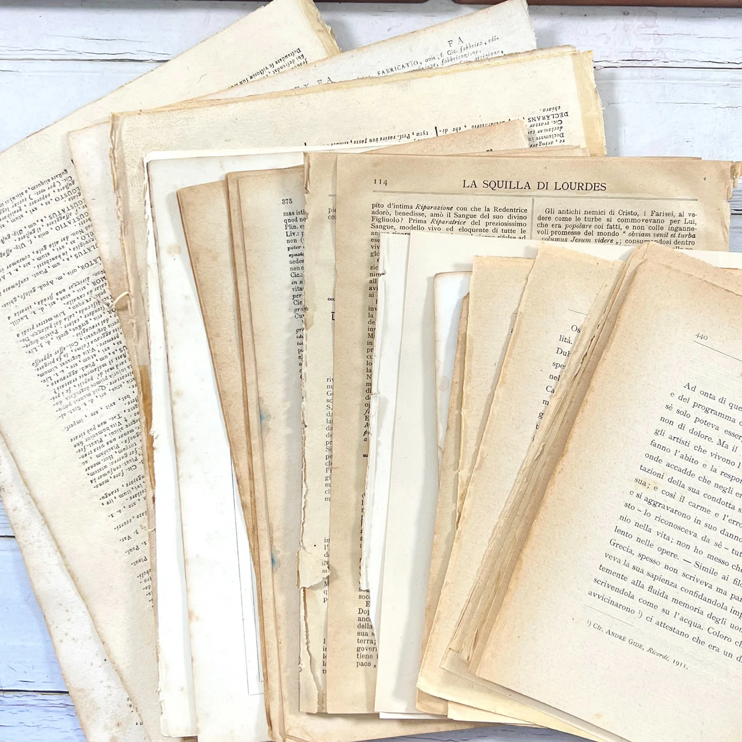 Shop — leaca young art