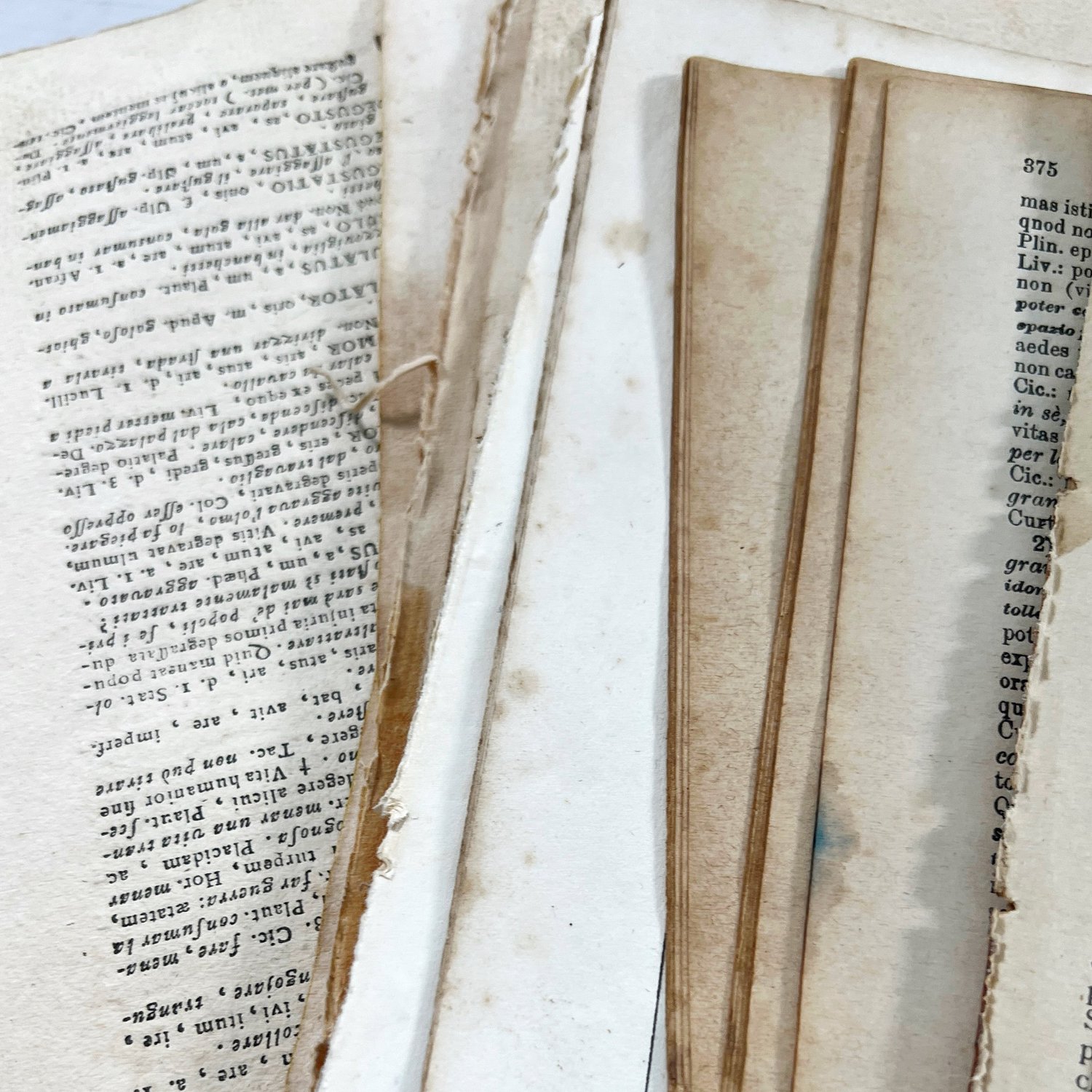 Shop — leaca young art