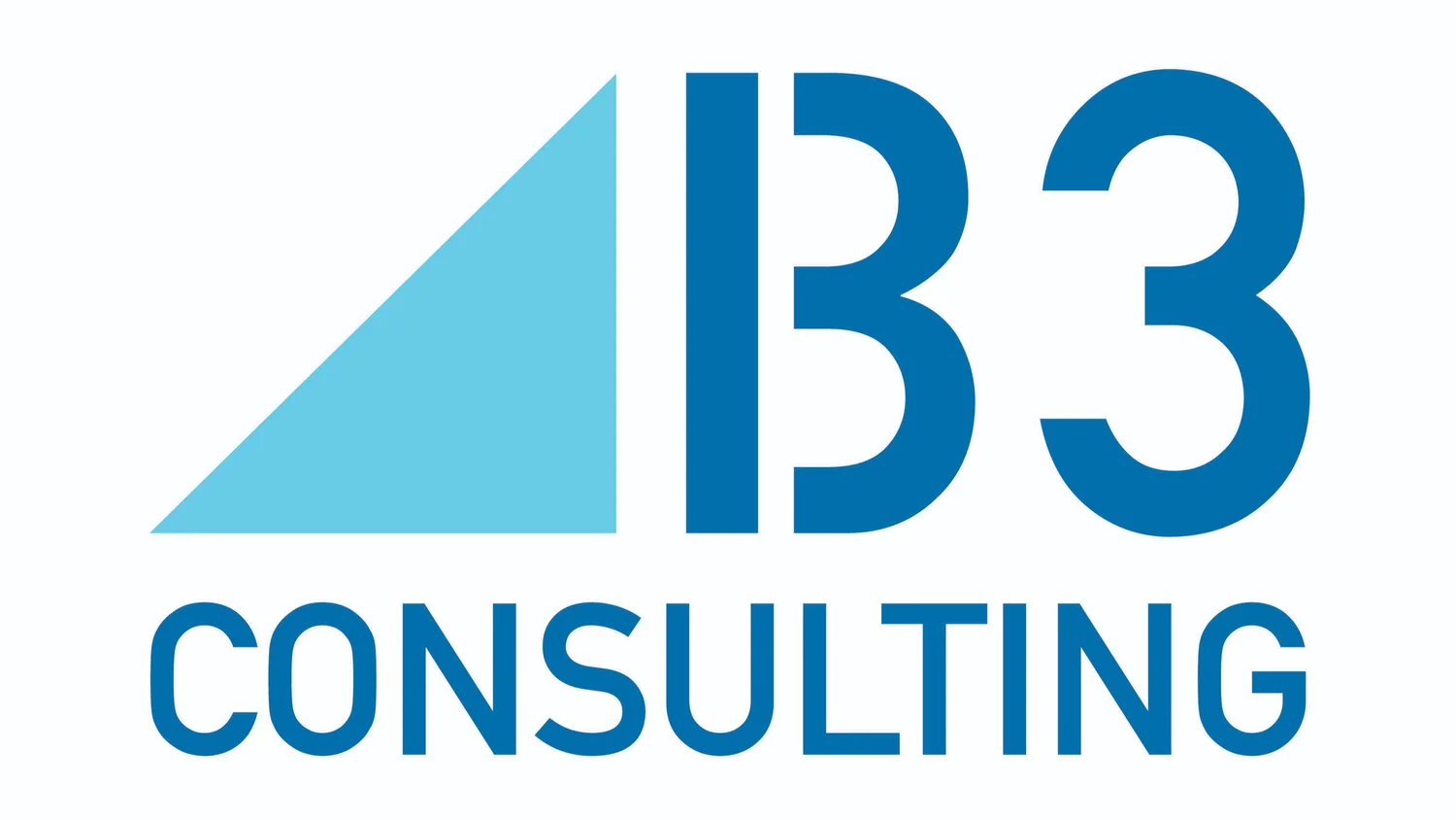 Our Opps — B3 Consulting